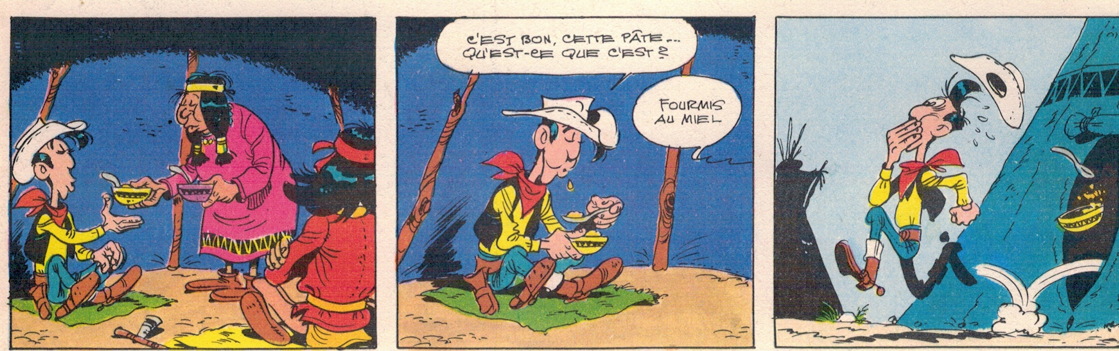Fourmis comestibles Fourmis comestibles